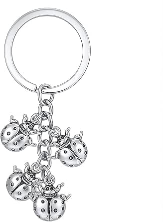 Ladybug Keychain – Lucky Ladybird Pendant Symbolizing Good Fortune ...