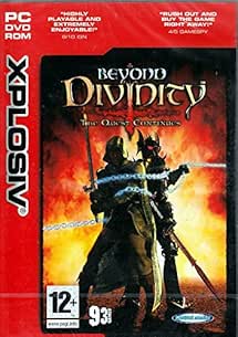 Amazon.com: Beyond Divinity - PC : Video Games