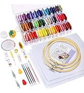 Amazon.com: Caydo 164 Pieces Embroidery Kit with Organizer Box, 72 ...