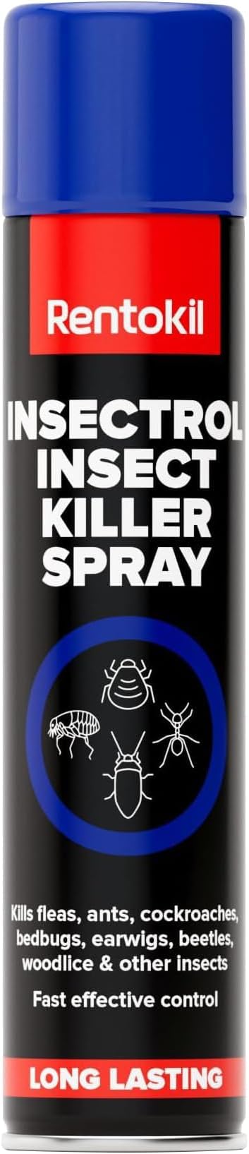 Rentokil RKLPS136 Insectrol Insect Killer 250ml Aerosol : Amazon.co.uk ...