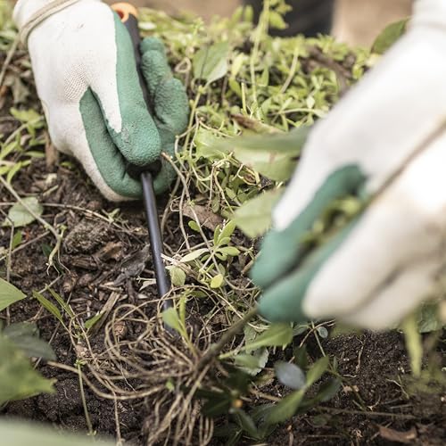 Fiskars Gardening Set Fiskars Indoor - 4 Piece Plant Care Kit With ...