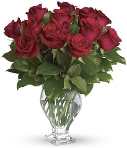 Amazon.com : Rose Classique : Fresh Flowers And Live Indoor Plants ...