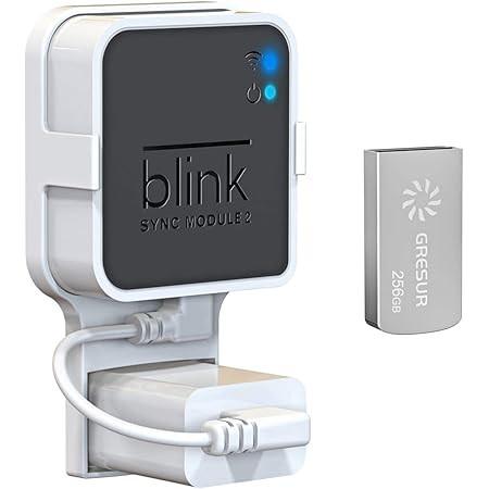 Amazon.com: 256GB Blink USB Flash Drive and Blink Sync Module 2 Mount ...