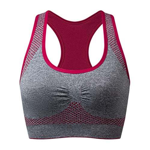 15 Best Plus Size Sports Bras With The Perfect Fit For Workouts
