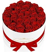 Amazon.com: Perfectione Roses Forever Real Roses in a Box, Preserved ...