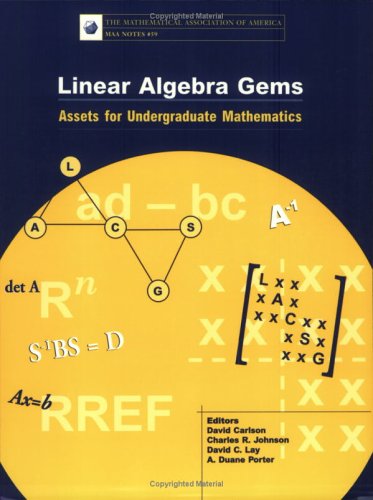 Linear Algebra Gems: Assets for Undergraduate Mathematics (The ...