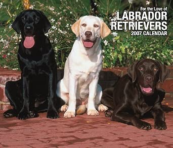 For the Love of Labrador Retrievers 2007 Deluxe Calendar: Unknown ...