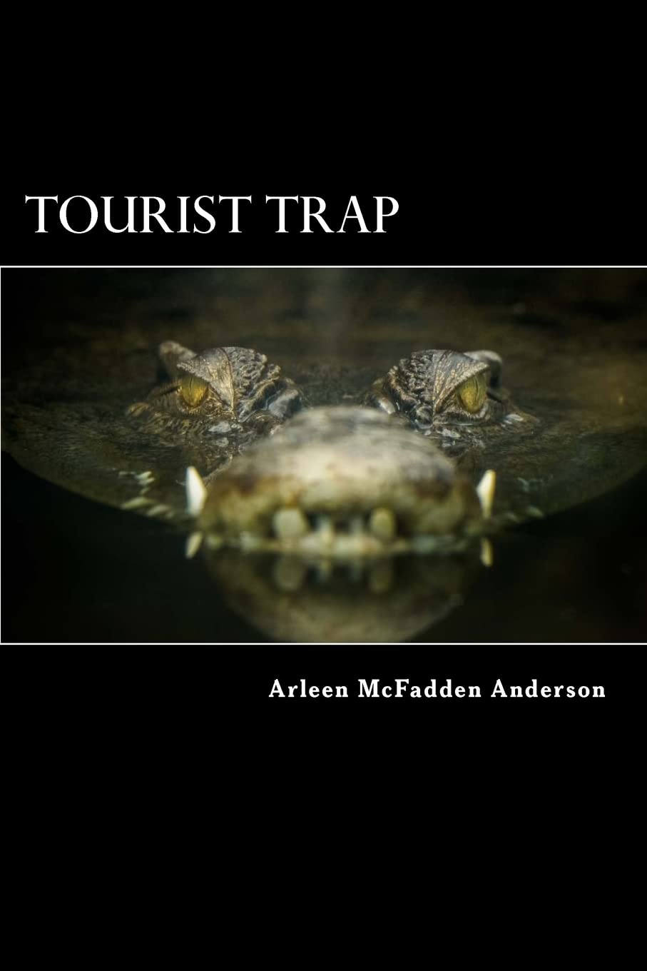 Amazon.com: Tourist Trap: 9781542371063: Anderson, Arleen McFadden: Books