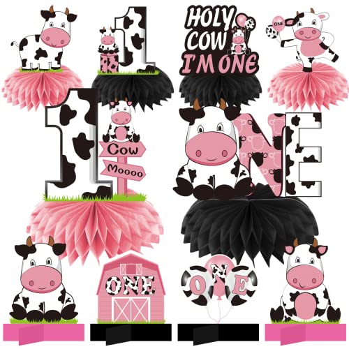 Hosting an Unforgettable 'Holy Cow I'm One' First Birthday Party for ...
