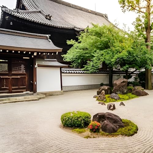 Zen garden surprise by Torsten Daniel Arndt on Amazon Music Unlimited