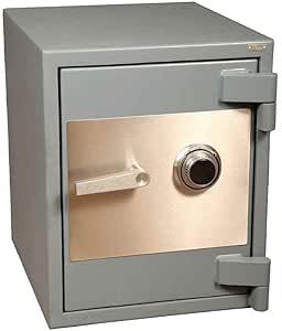 Amazon.com: International Fortress w High Security Key Lock (23.5 in. x ...