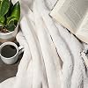 Amazon.com: Life Comfort Microfiber Plush Polyester 60”x70” Large All ...