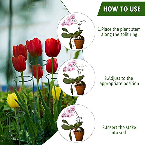 WAIZHIUA 8 Pcs 40cm Plant Support Stakes, Garden Single Stem Support ...