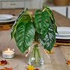 Amazon.com: Muhanjia Artificial Flowers Turtle-Back, Alocasia Leaf, in ...