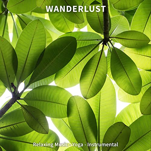 Écouter Wanderlust par Relaxing Music, Yoga & Instrumental sur Amazon ...