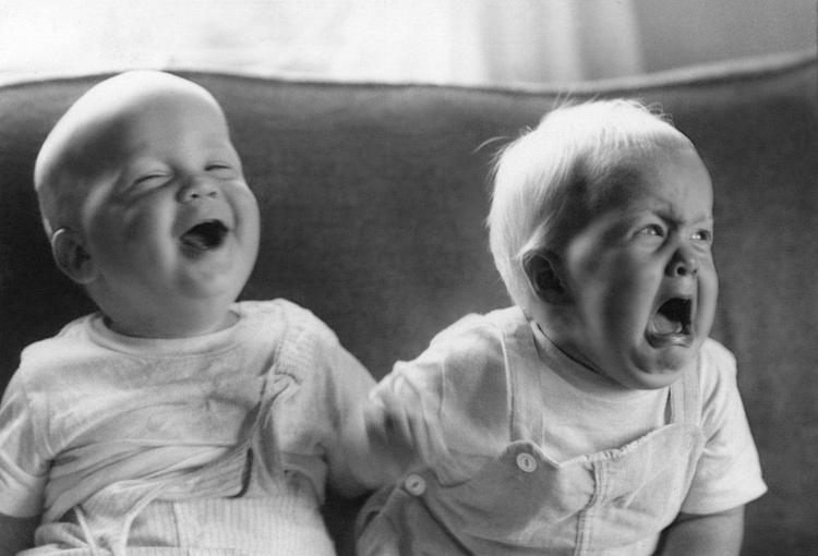 The Politician's Essential Excuse Book: Remedies for when what you ...