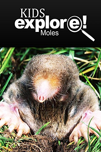 Amazon.com: Moles - Kids Explore: Animal books nonfiction - books ages ...