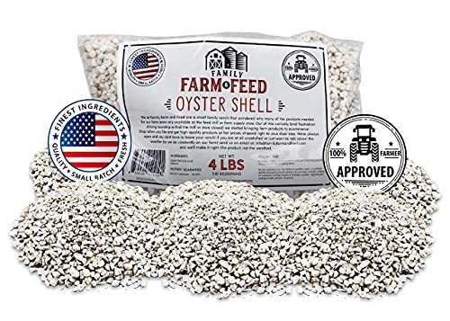 Oyster Shell For Chickens: Is It Good For Your Chickens? (2024)