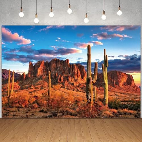 Amazon.com : ZJRBJB 10x6.5ft Desert Scenery Background Blue Sky Sand ...