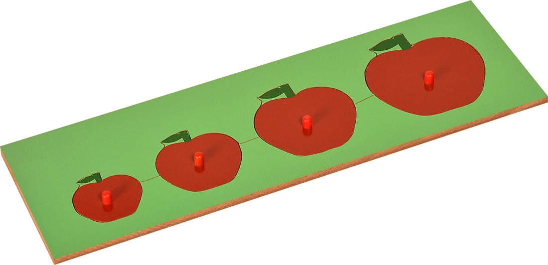 Buy Kidken Montessori Size Variation Inset Board Apple / Seriation ...