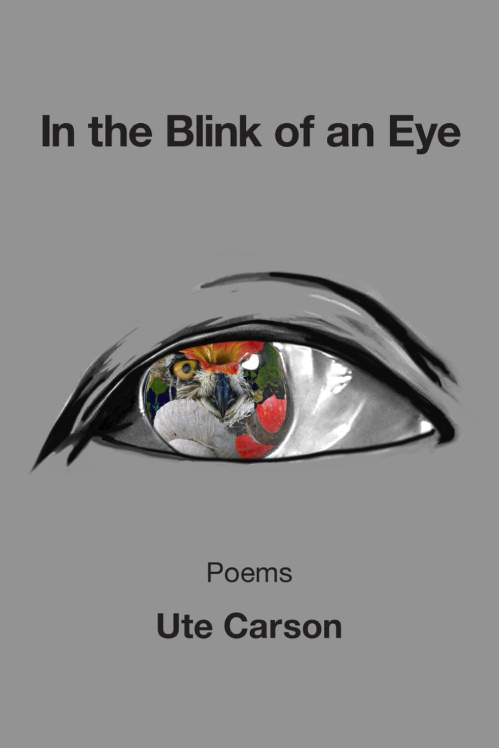 Amazon.com: In the Blink of an Eye: 9781639804511: Carson, Ute: Books