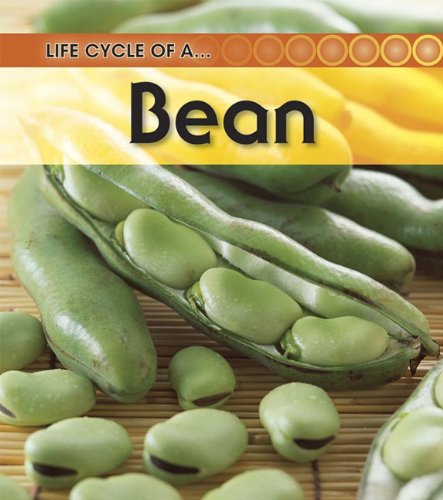 Amazon.com: Broad Bean (Life Cycle of a): 9781432925352: Royston ...