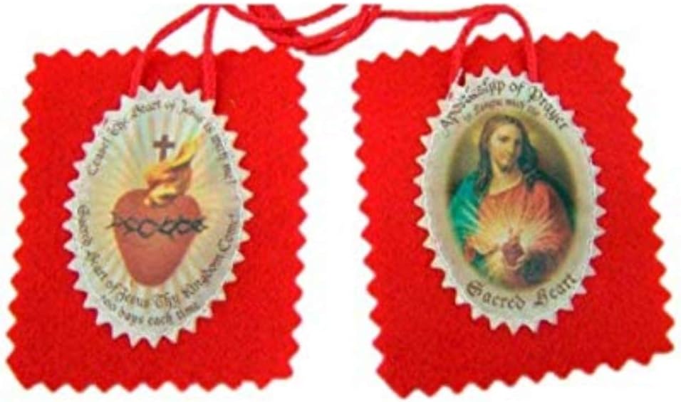 Amazon.com: WJH Catholic Cloth Red Scapular Sacred Heart of Jesus ...