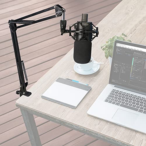 Snapklik.com : Audio-Technica AT2020 Mic Boom Arm