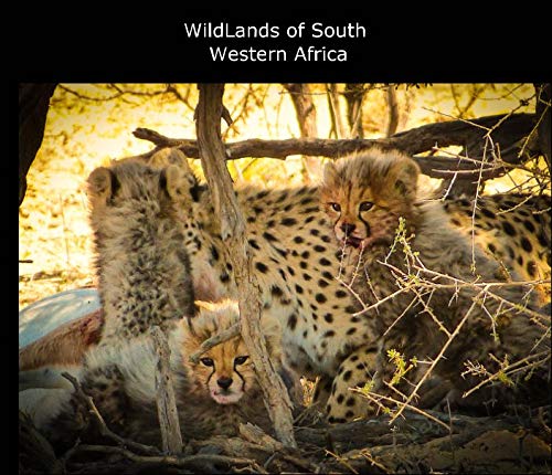 Wildlands of South Western Africa: Estell Roux Dr. Daniel C Roux ...