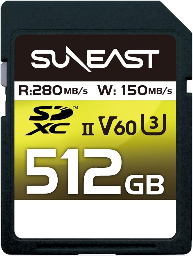 Amazon | Original Lexar 1667x V60 250MB/s Flash Memory sd cards 64gb ...