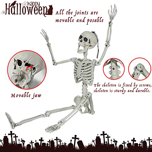 XONOR 3ft Halloween Skeleton Realistic Human Plastic Full Body Skeleton ...