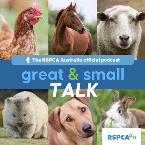 RSPCA Australia's Great & Small Talk : RSPCA Australia: Amazon.in ...