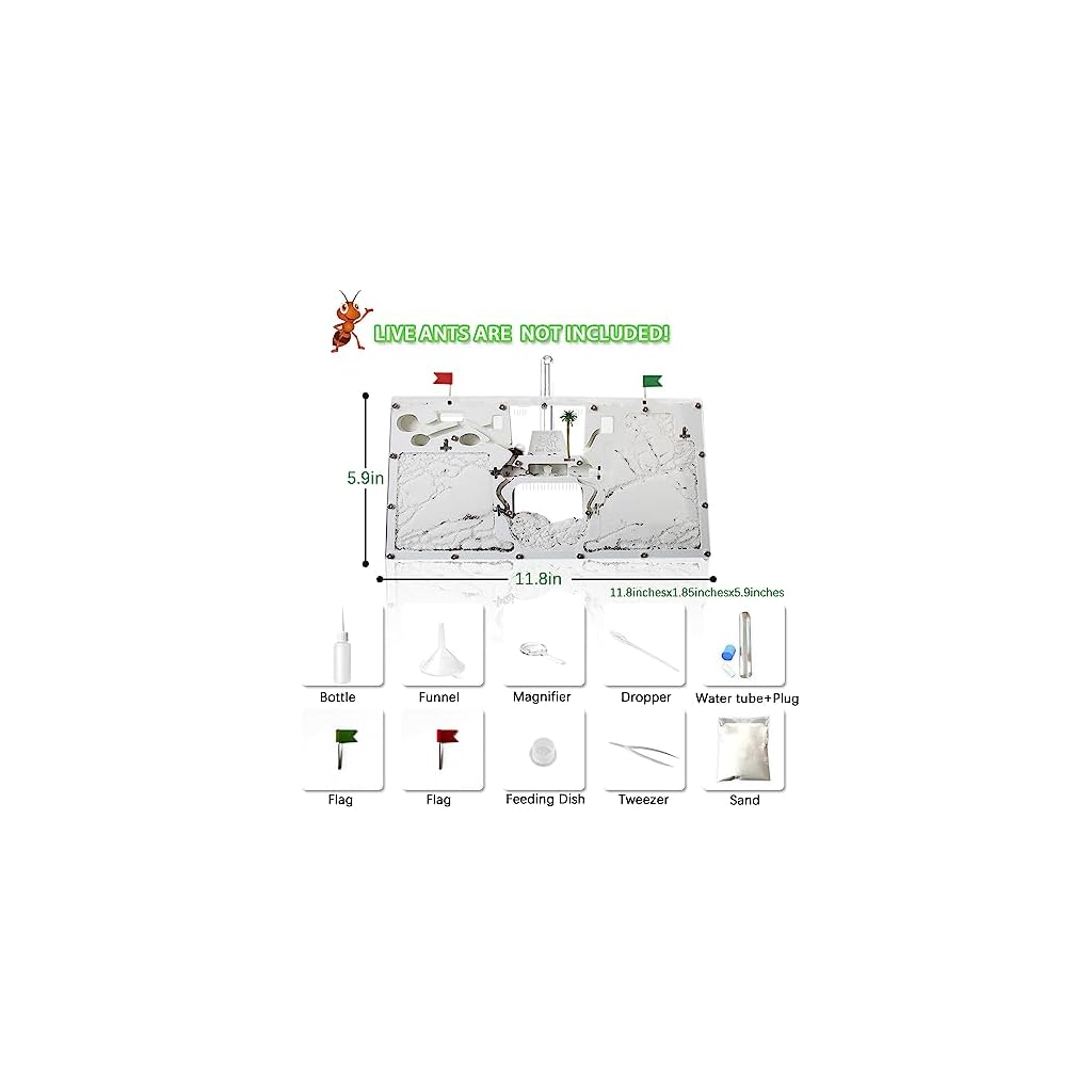 ELNMLHT Ant Farm Castle, Ant Nest Farm for Live Ants - Insect Gourmet ...