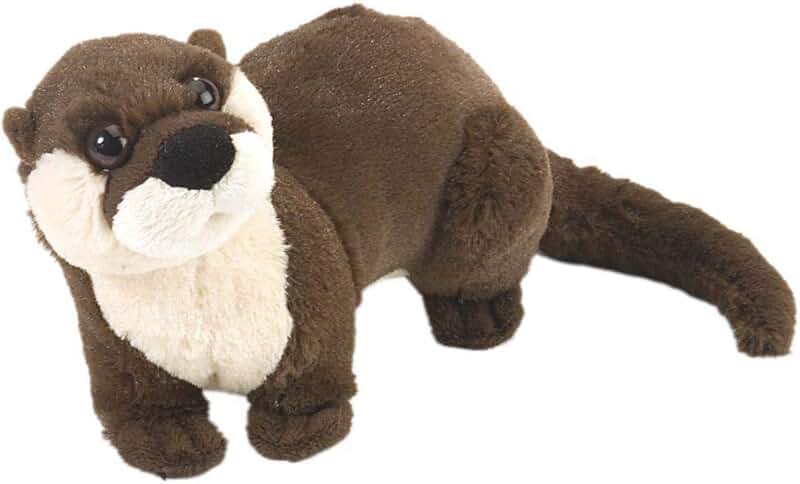 Amazon.co.uk: Otter Gifts