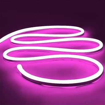 iNextStation Neon LED Strip Light Pink, 16.4ft/5m DC12V 600 SMD2835 ...