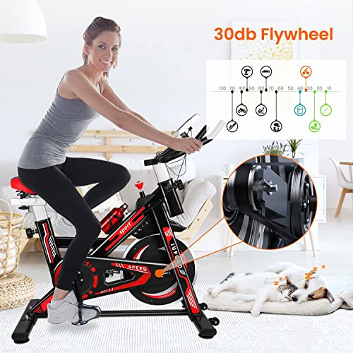 Jupgod Resistance Exercise Bike with Heart Rate Monitor, Stationary ...