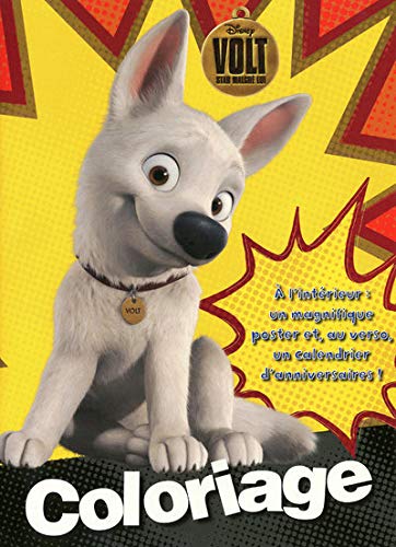 COLORIAGE AVEC POSTER VOLT : Disney: Amazon.com.tr: Kitap
