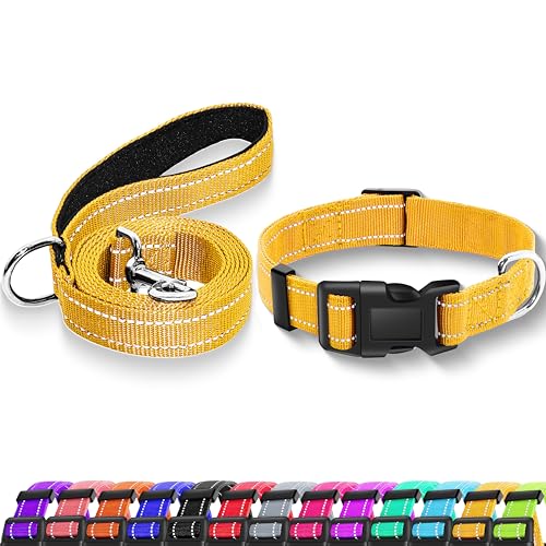 Yellow Dog Collar – The 15 best products compared - Wild Explained