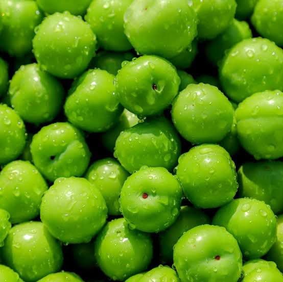 Amazon.com: Fresh Green Plum, Unripe Plum, Greengages, Raw Plum, Sour ...