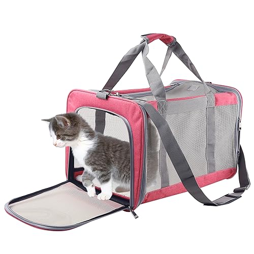 Pet Carriers for Cats – The 15 best products compared - Wild Explained