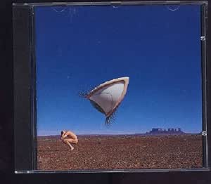 Bury The Hatchet | Amazon.com.br