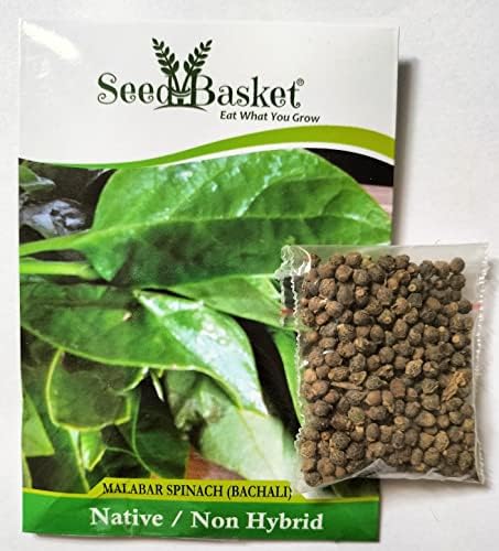 Seeds Basket Giant Malabar Spinach Seeds | Poi Ka Saag | Basella Alba ...