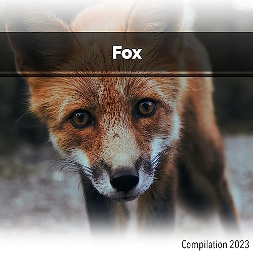Amazon.com: Fox Compilation 2023 : John Toso & Mauro Rawn & Benny ...
