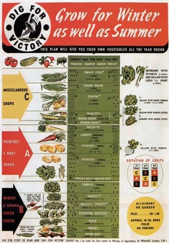WB34 Vintage WW2 British Grow Your Vegetables Own Dig For Victory WWII ...