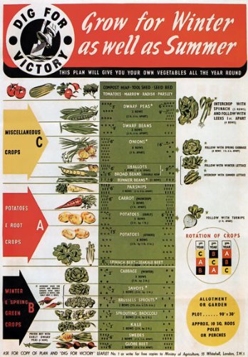 WB8 Vintage WW2 Dig For Victory Grow For Winter & Summer Vegetables ...