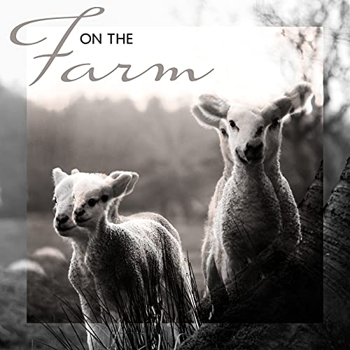 On the Farm - Unique Collection of Animal Sounds Straight from the ...
