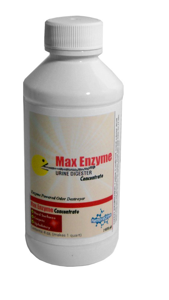 Max Enzyme Urine Digester Concentrate : Amazon.in