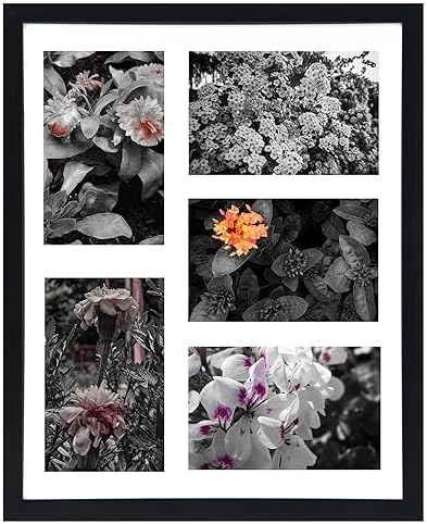 Fixwal 11x14 Collage Picture Frame with Five Openings for Displaying ...