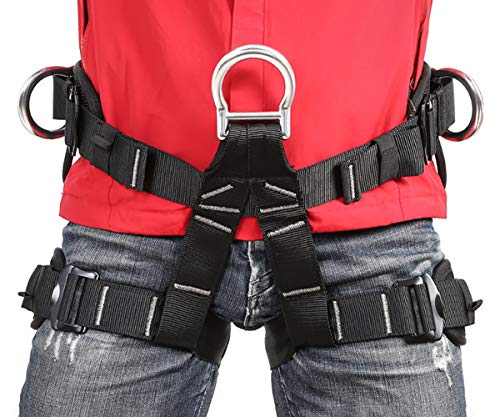 6 Best Mountain Climbing Harnesses Review 2021 - Reviews