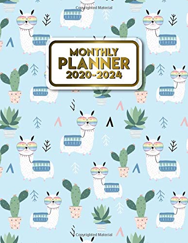 Buy 2020-2024 Monthly Planner: Tribal Cactus & LLama 5 Year Organizer ...